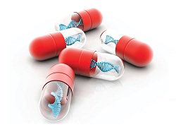 Ecoclav – Duo - Global Health Vision